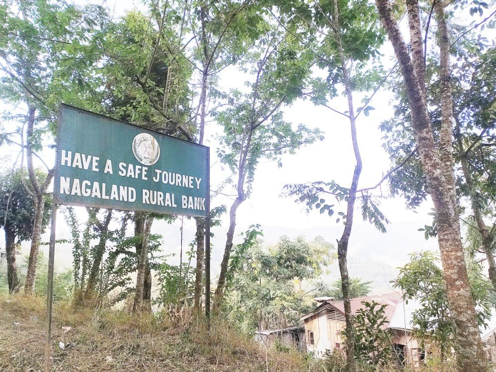 NABARD State Focus Paper-I identifies potentials for various priority ...