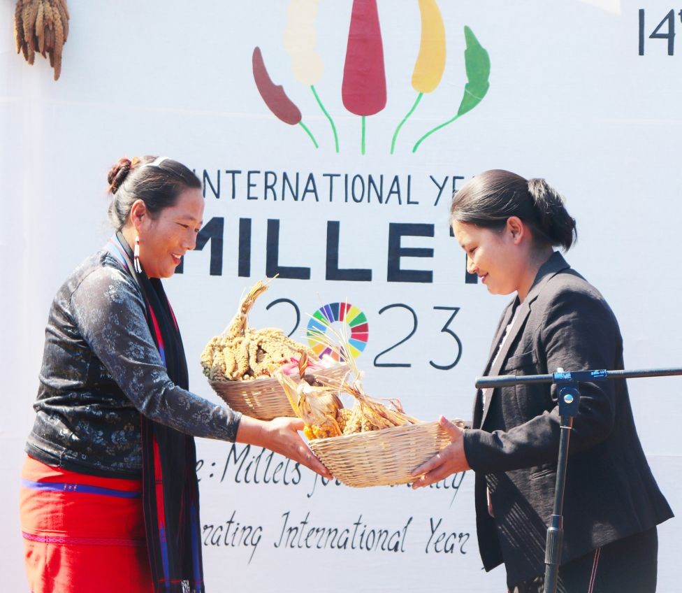 Nagaland: Millet for Community Resilience | MorungExpress ...