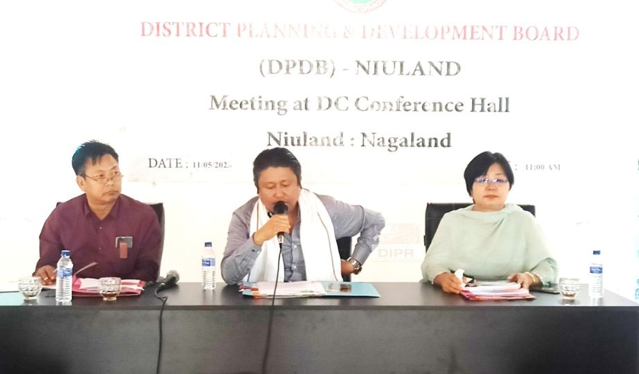 Put up proposal to establish offices: Zhimomi to Departments in Niuland ...