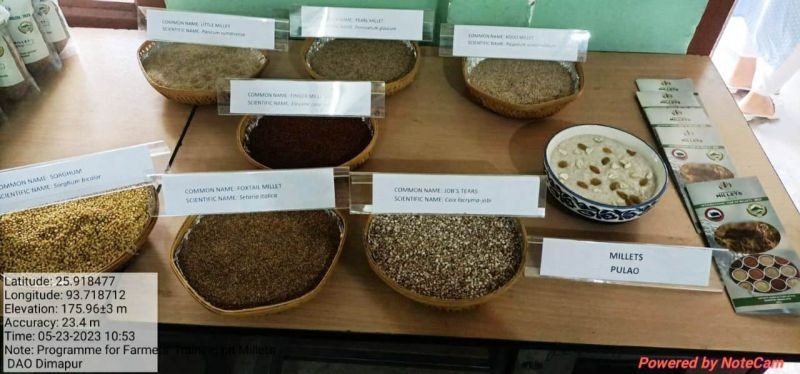 Training cum exhibition on millets for Dimapur farmers held ...
