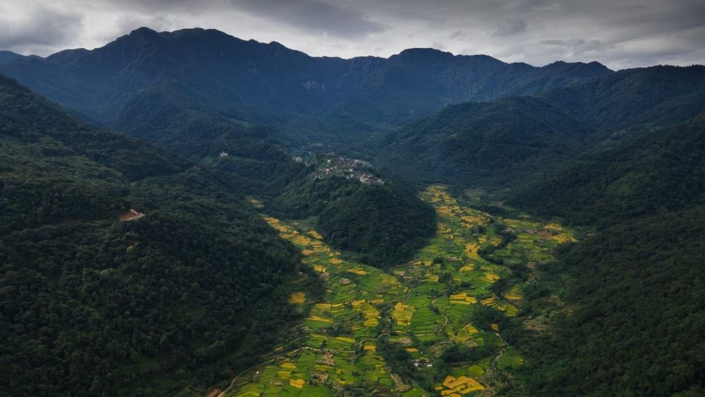 Khonoma: Celebrating 25 years of environmental leadership ...