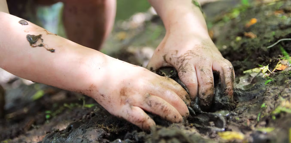 What is dirt? There’s a whole wriggling world alive in the ground ...