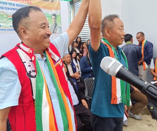 Endangered Moth spotted in Noklak | MorungExpress | morungexpress.com