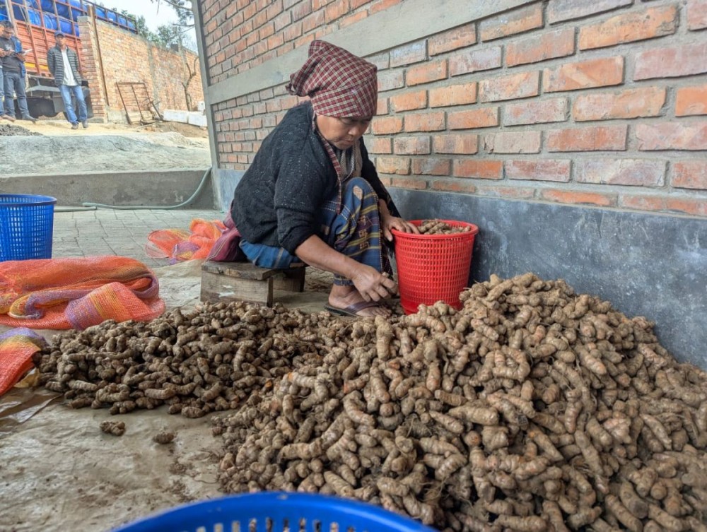 Meghalaya’s women-led spice revolution | MorungExpress | morungexpress.com