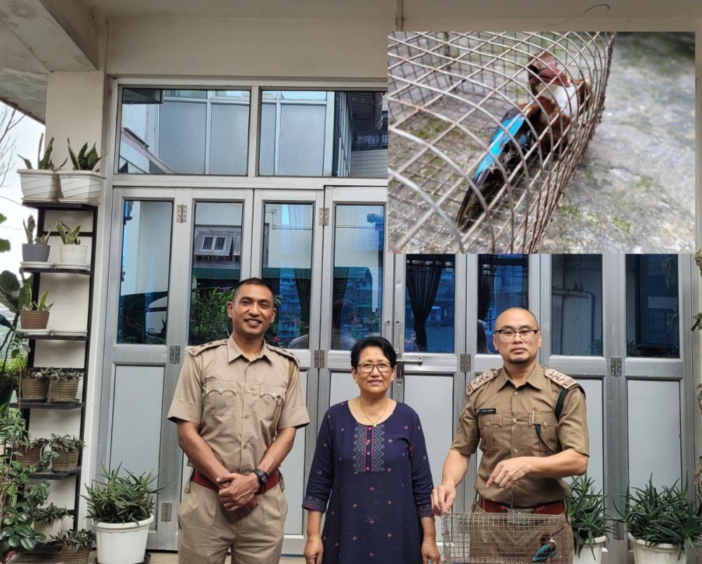 Nagaland: News in pictures | MorungExpress | morungexpress.com